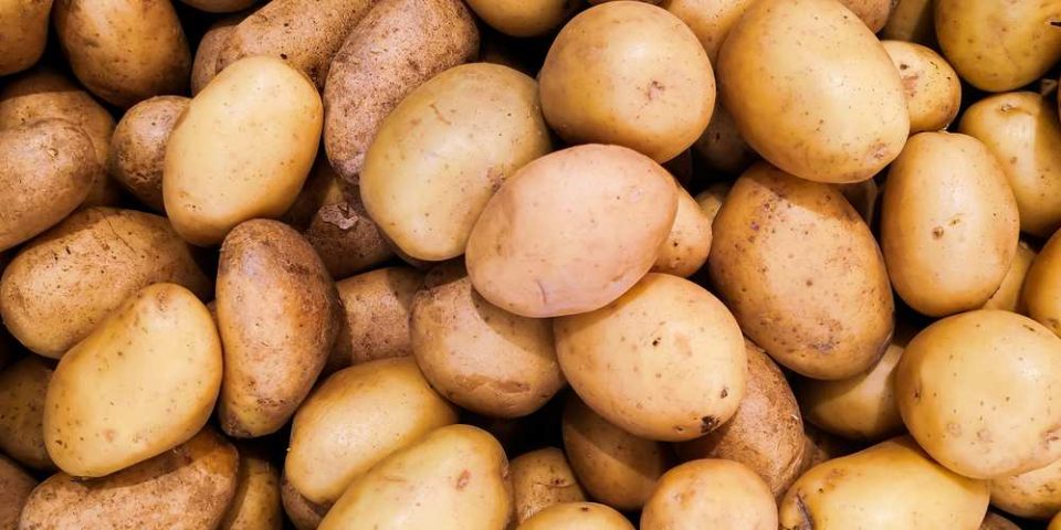 Can Dogs Eat Raw Potatoes? Are Raw Potatoes Bad For Dogs? | Pet Diet Guide