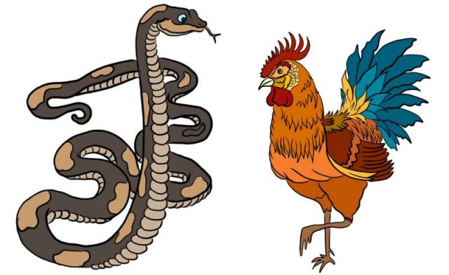 Can Chickens Eat Snakes? | Pet Diet Guide