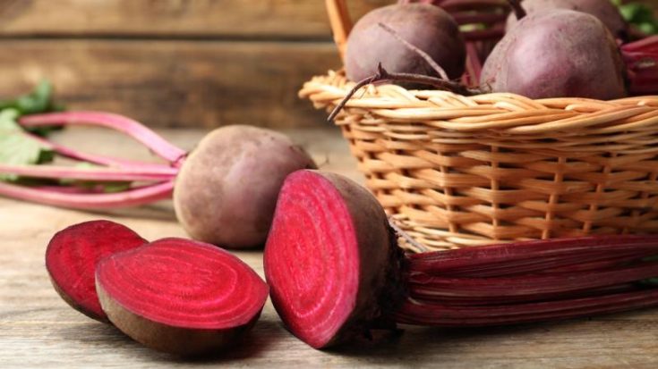 Can Rabbits Eat Beets? | Pet Diet Guide