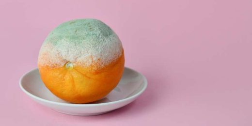 Can Chickens Eat Moldy Food? | Pet Diet Guide