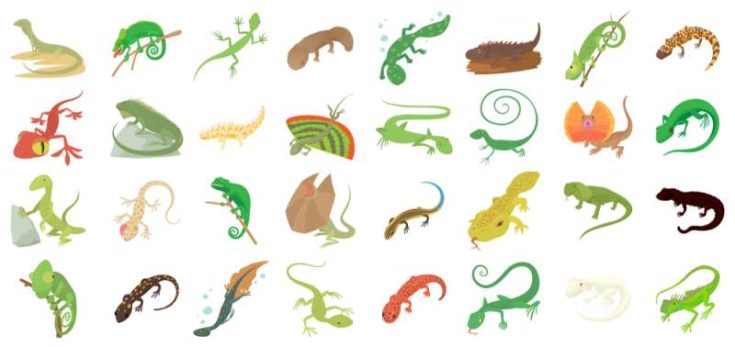 Can Chickens Eat Lizards? | Pet Diet Guide