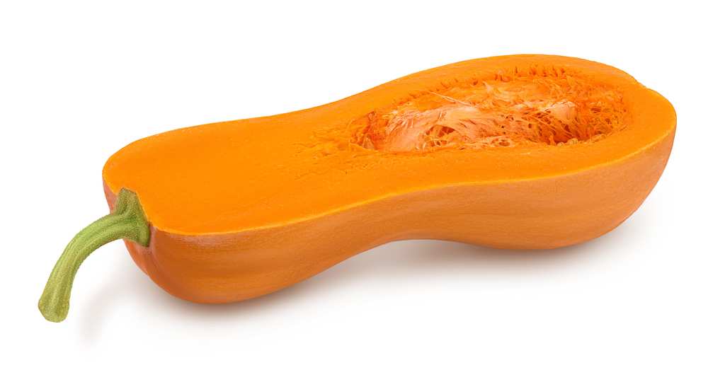 Can Dogs Eat Butternut Squash Is Butternut Squash Bad For Dogs Pet