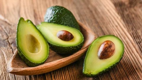 Can Rabbits Eat Avocado? Risks, Problems & A Full Guide | Pet Diet Guide