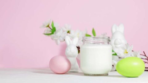 Can Rabbits Eat Yogurt? | Pet Diet Guide